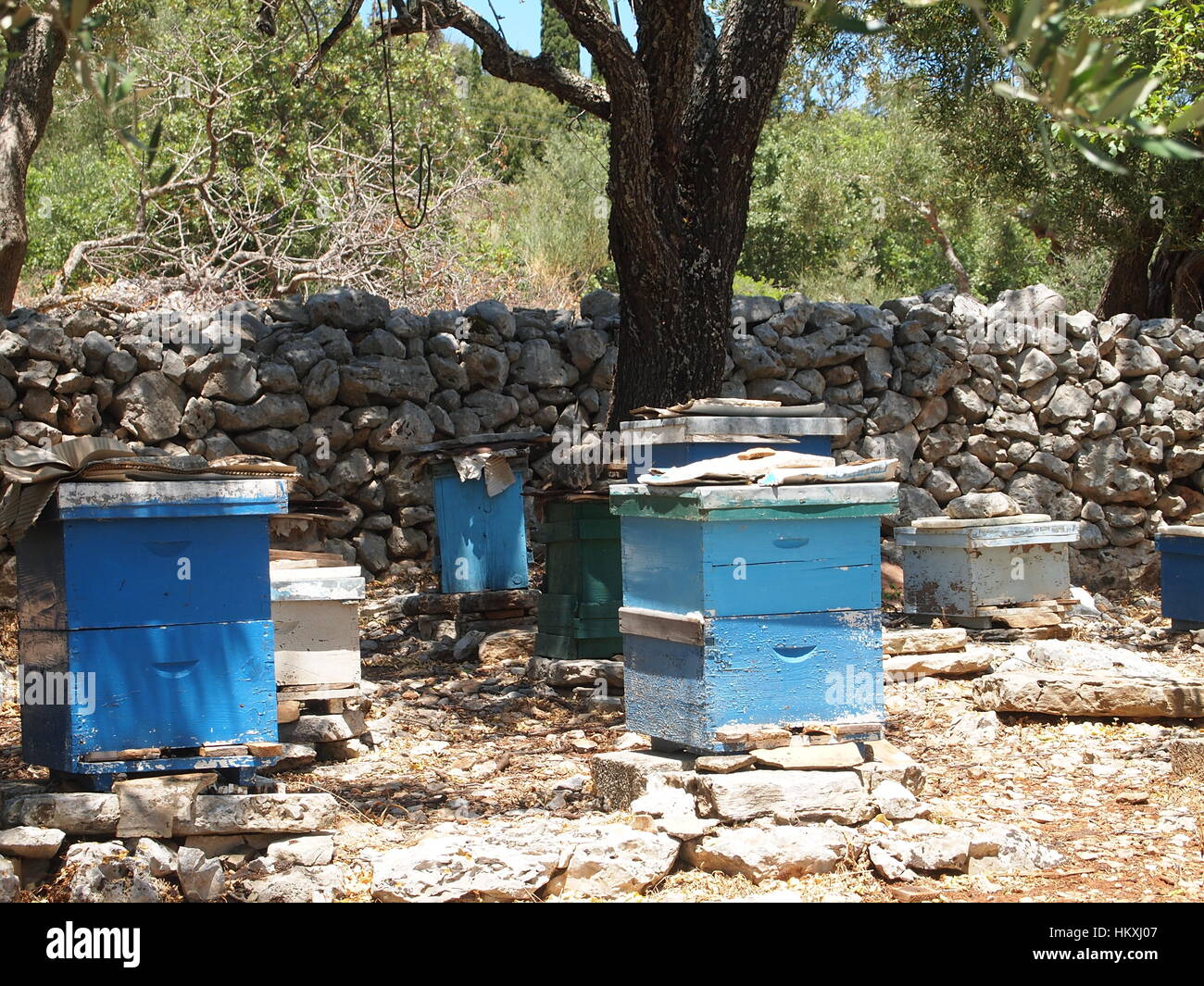 Lots of primitive beehives on a ground Stock Photo - Alamy