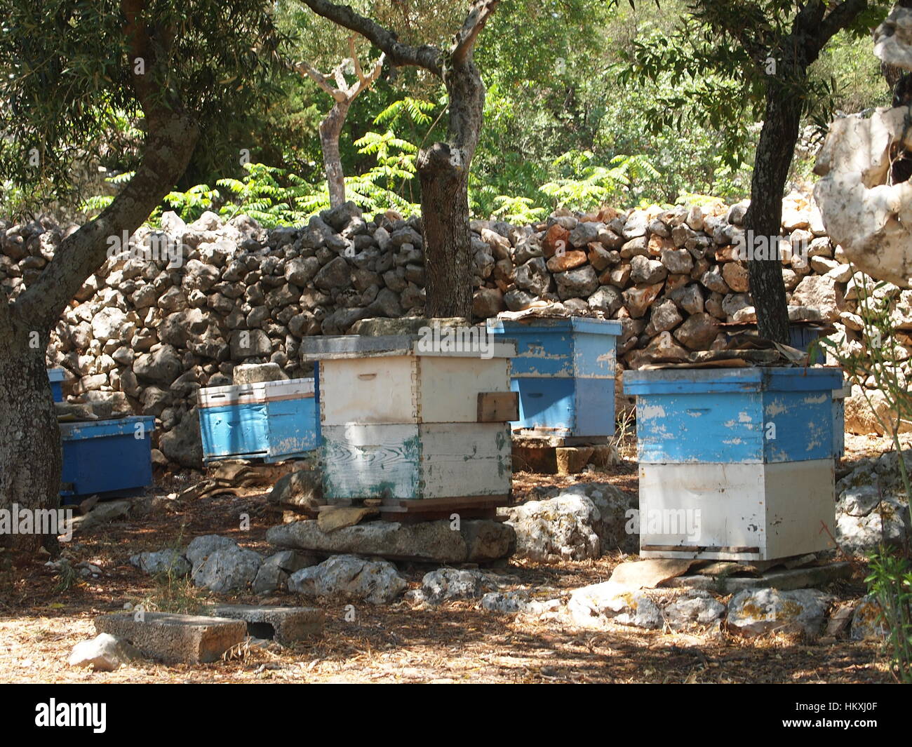 Lots of primitive beehives on a ground Stock Photo - Alamy