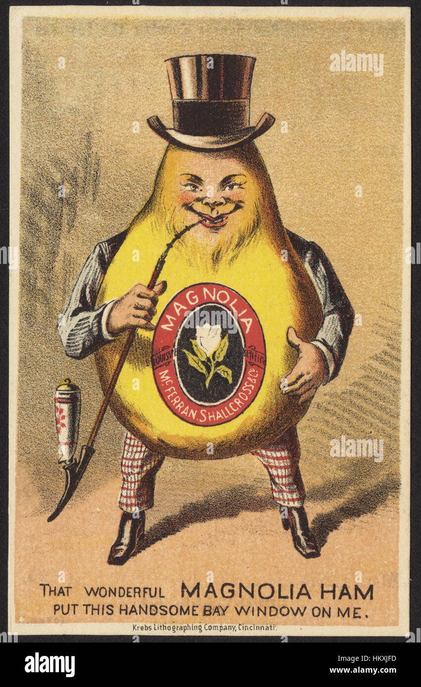 That wonderful Magnolia ham put this handsome bay window on me Stock ...