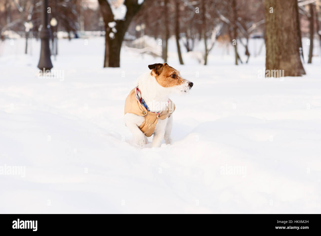 Guard dog sign hi-res stock photography and images - Alamy