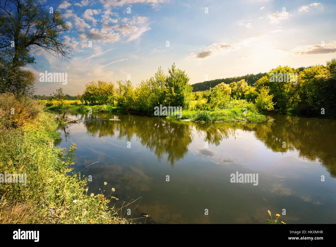 River with trees on the beach Stock Photo - Alamy