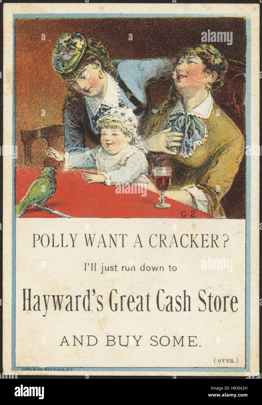 Polly want a cracker hi-res stock photography and images - Alamy