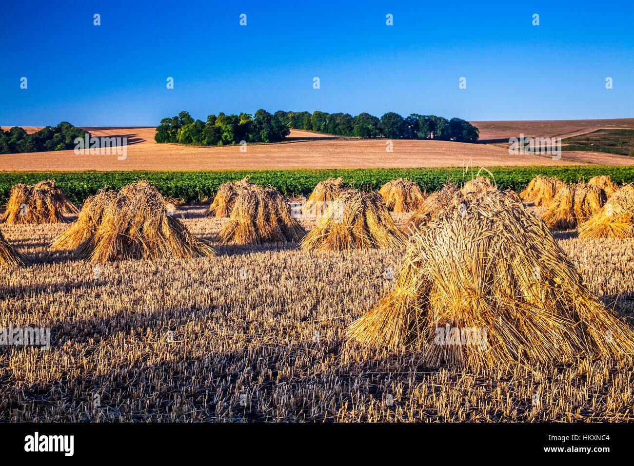 Thatching stooks hi-res stock photography and images - Alamy