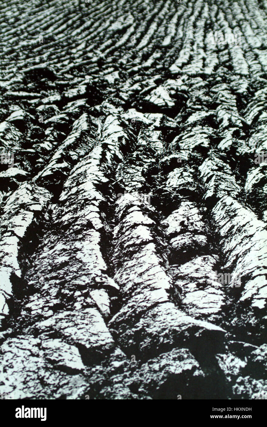 Black clod hi-res stock photography and images - Alamy