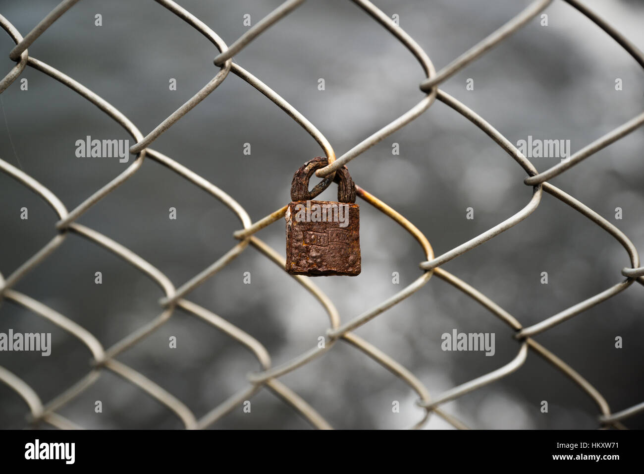 Rusty lock on chain-link fence, symbol, rusting, ephemeral love Stock ...