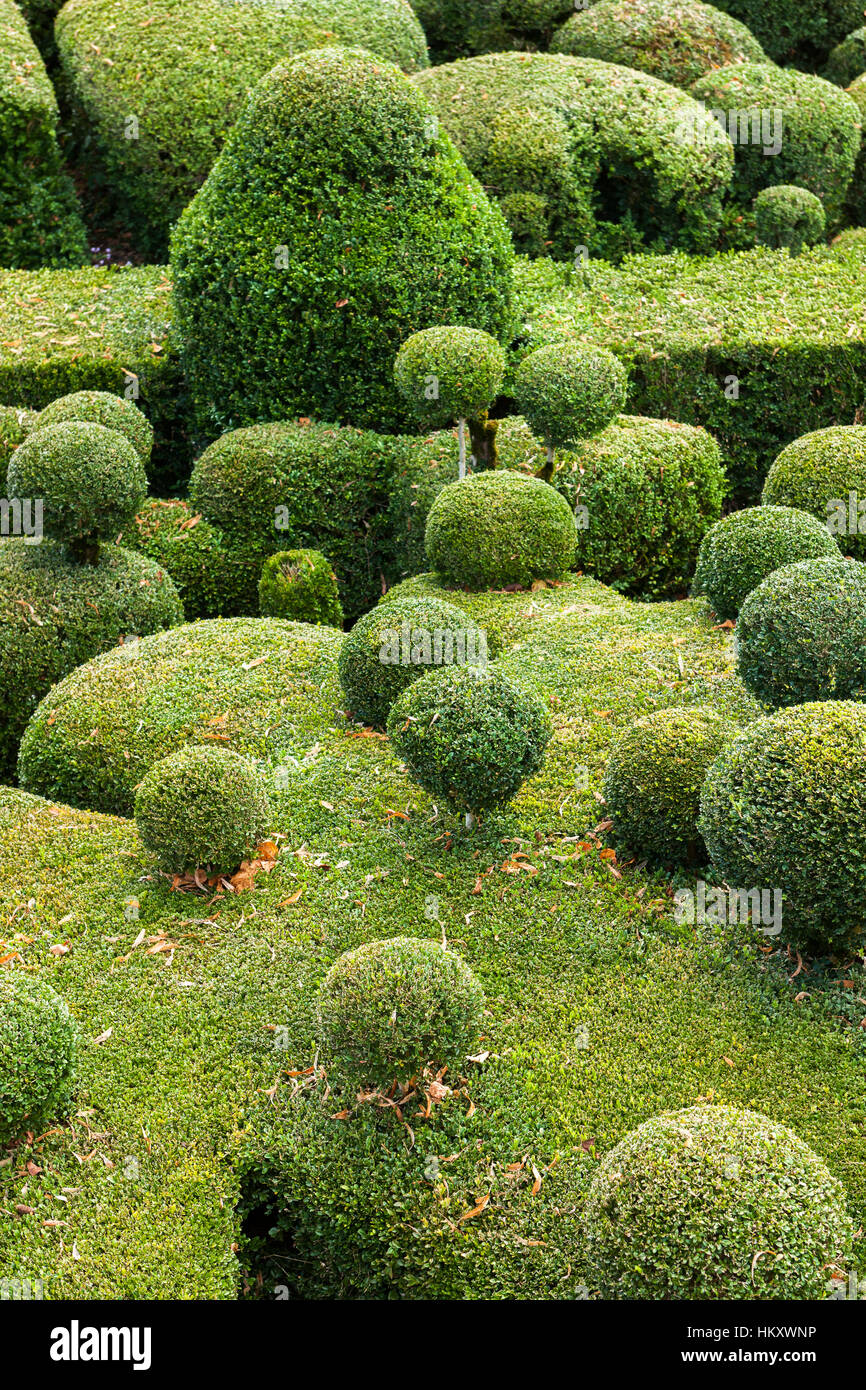 Highly shaped and Ornate Box Hedges of the Jardin de Marqueyssac Stock ...