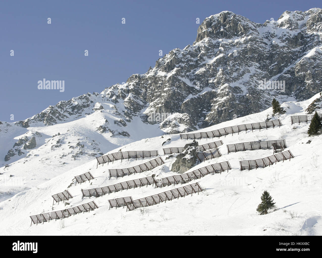Avalanche prevention in Zuers, Arlberg, Austria Stock Photo - Alamy