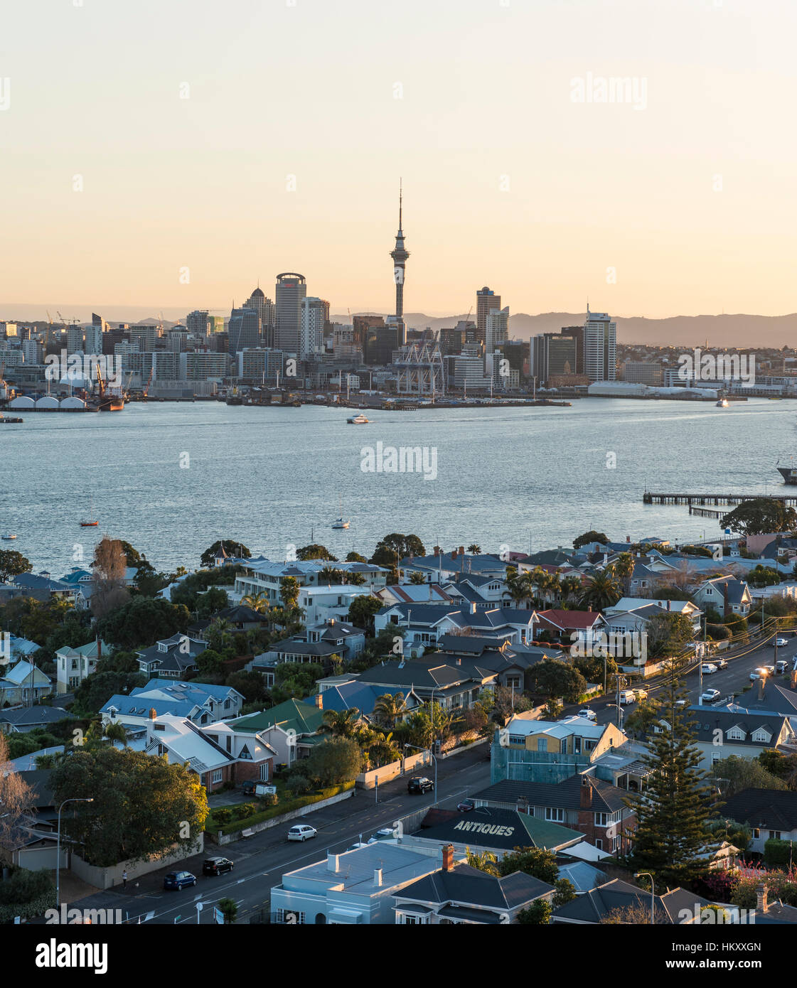 Waitemata Harbour, Sky Tower, skyline with skyscrapers, evening mood ...