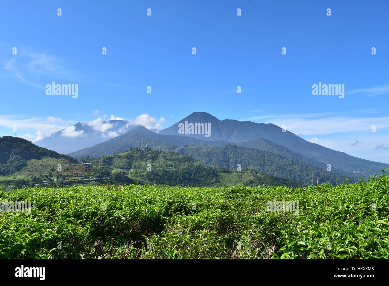 Bogor, Indonesia - November 19 2016 : a view of Mount Gede-Pangrango on Puncak tourism object ...