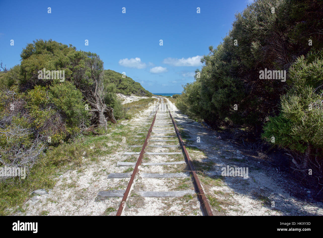 Train tracks in diminishing perspective with lush greenery at Rottnest ...