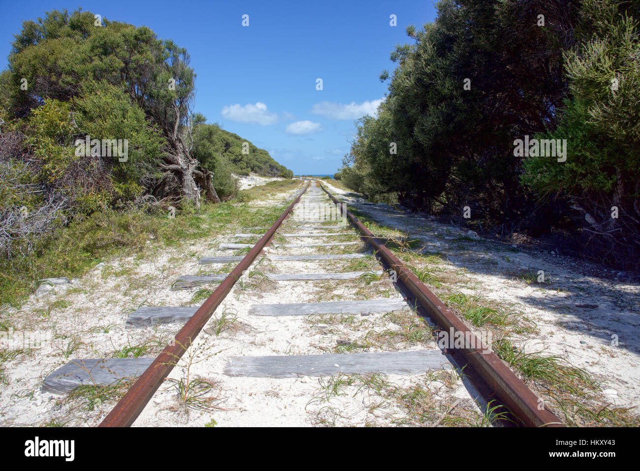Train tracks in diminishing perspective with lush greenery at Rottnest ...