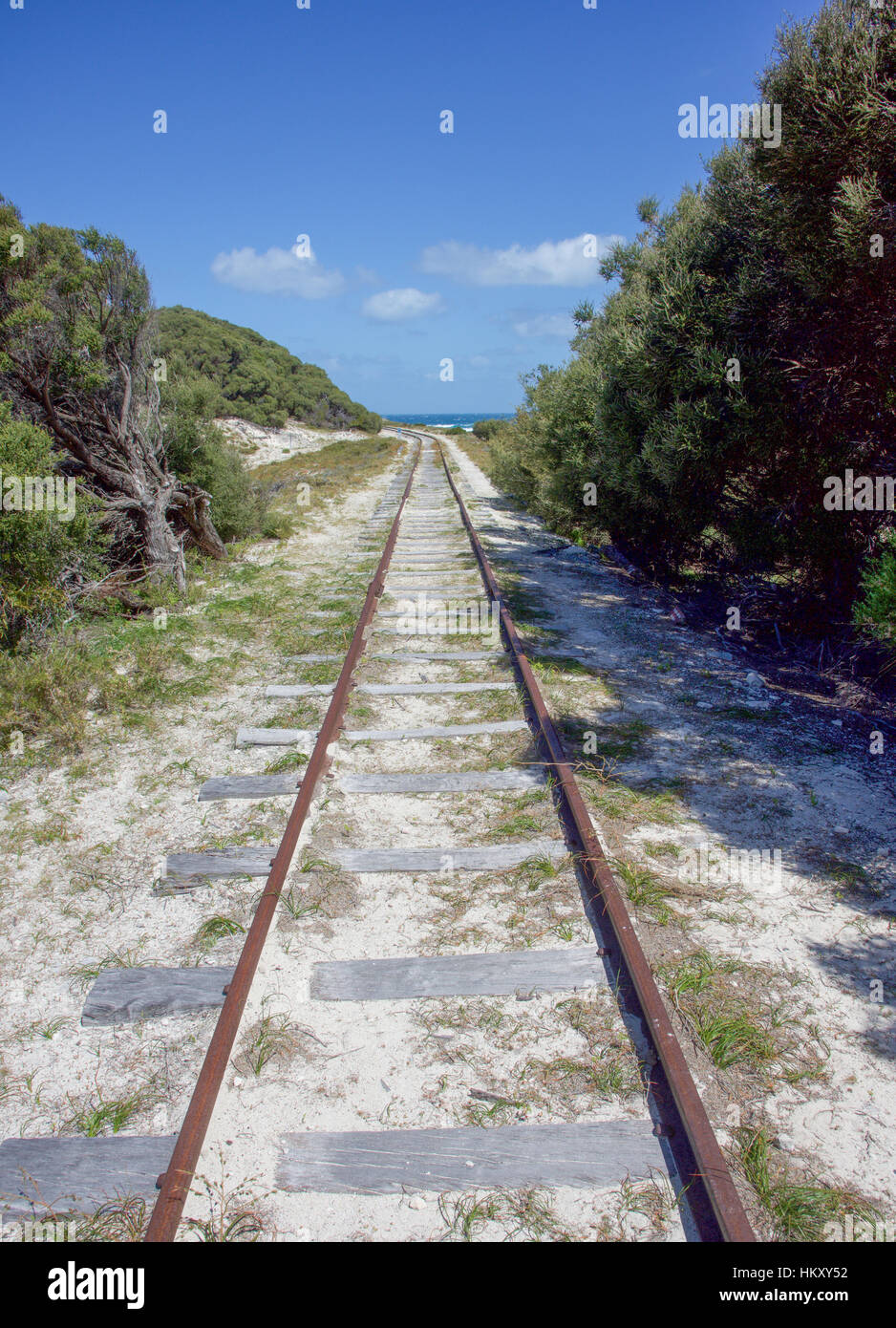 Train tracks in diminishing perspective with lush greenery at Rottnest ...