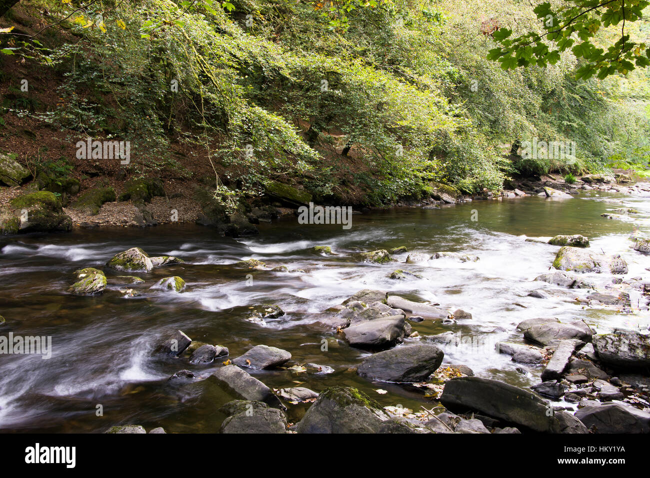 Fast flowing river with rocks and trees Stock Photo - Alamy