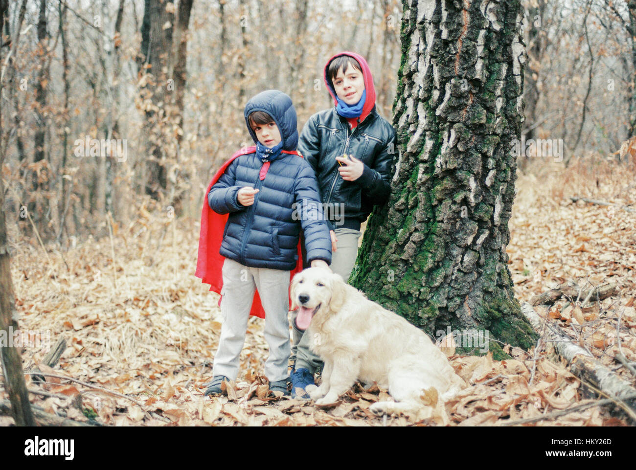 two brothers boy with his puppy dog Stock Photo - Alamy
