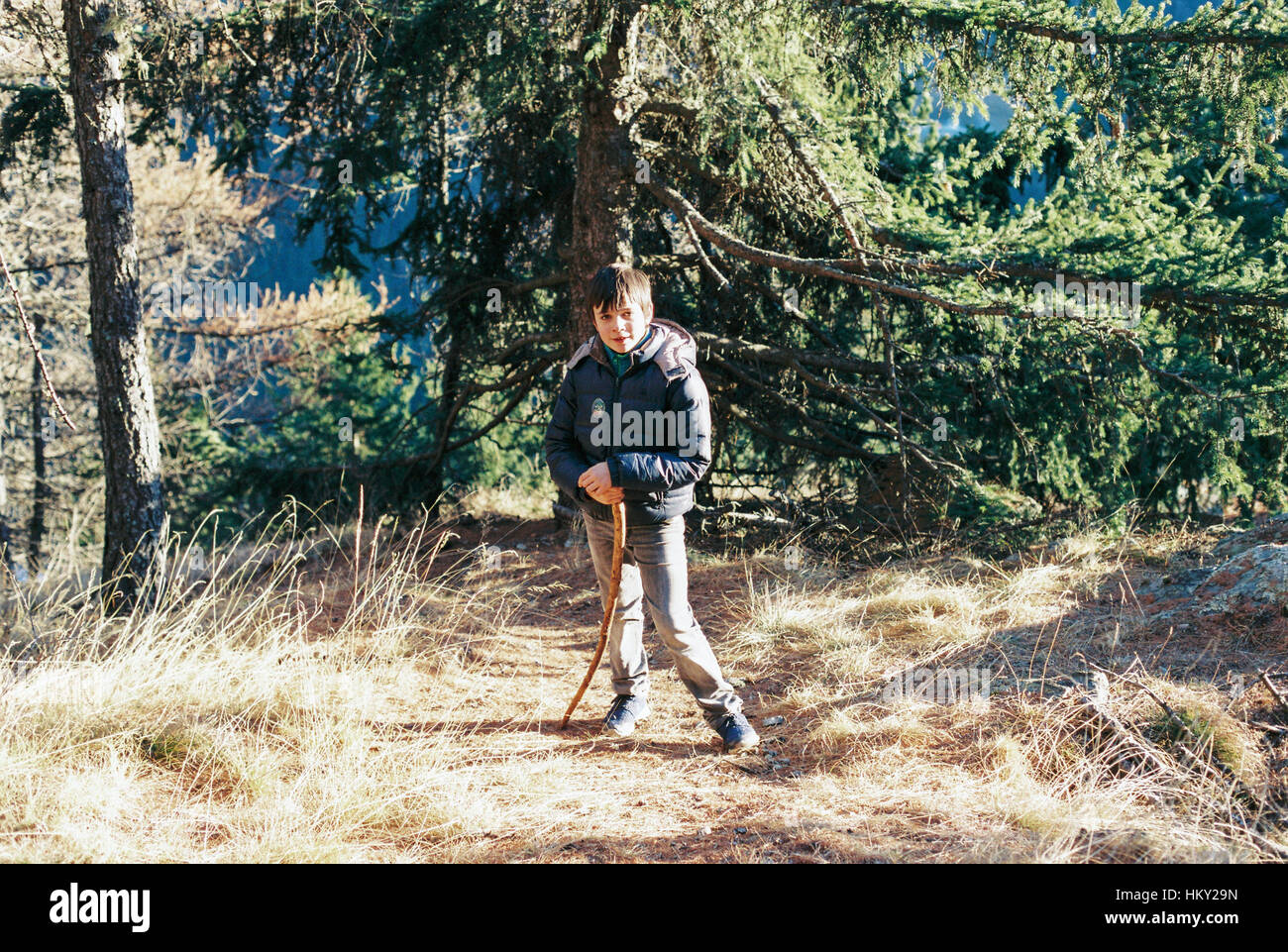 boy in the forest Stock Photo - Alamy