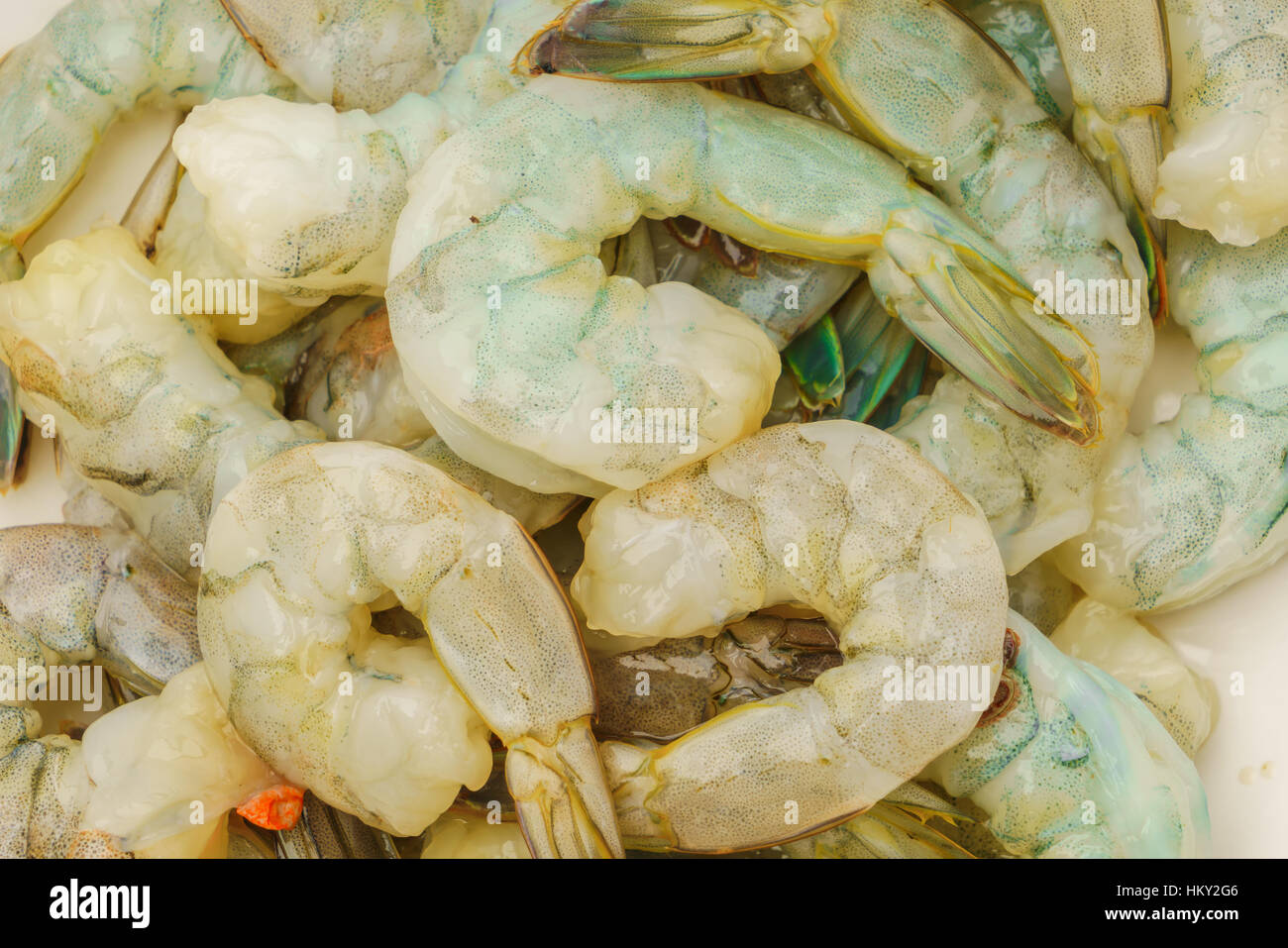 Penaid shrimp hi-res stock photography and images - Alamy