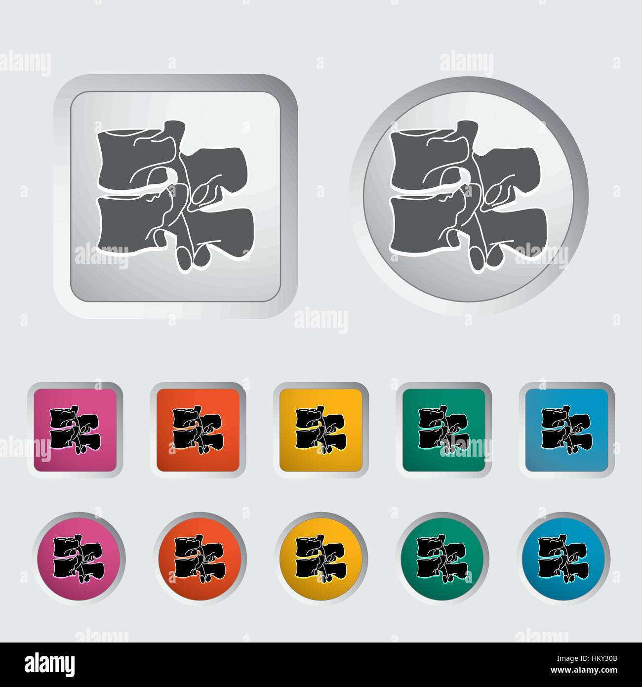 Anatomy spine icon. Vector illustration Stock Vector Image & Art - Alamy