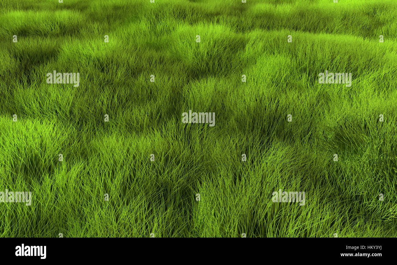 Grass, lawn or swamp background. Render texture in excellent quality in ...