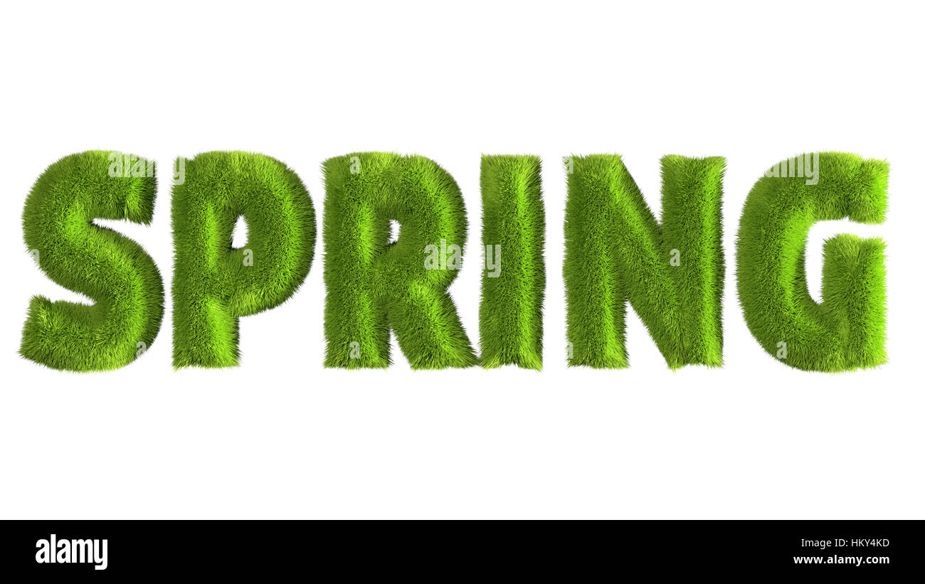 Word "SPRING" looks like grass isolated on the white background Stock ...