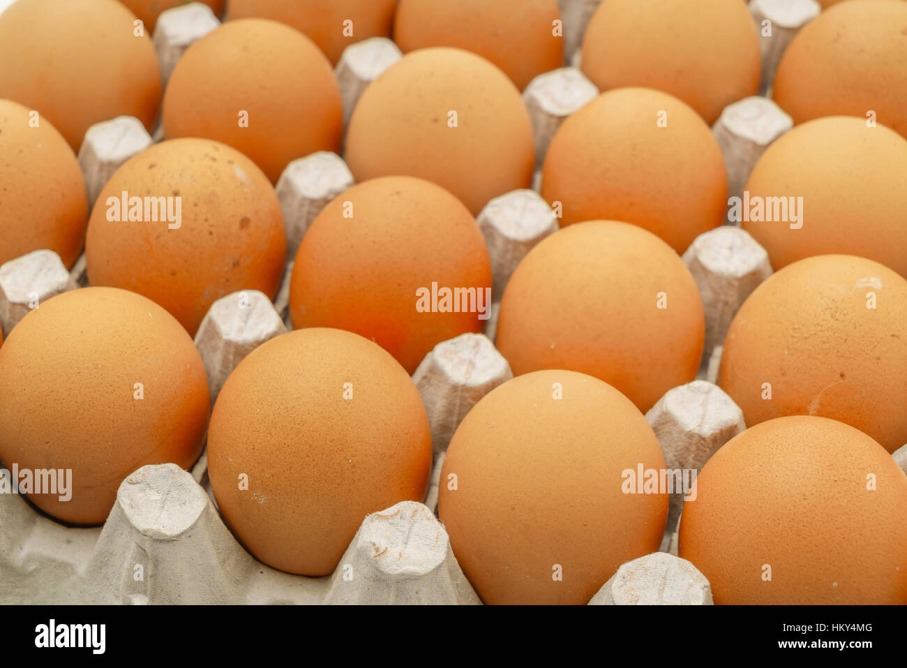 Fresh eggs in package Stock Photo - Alamy