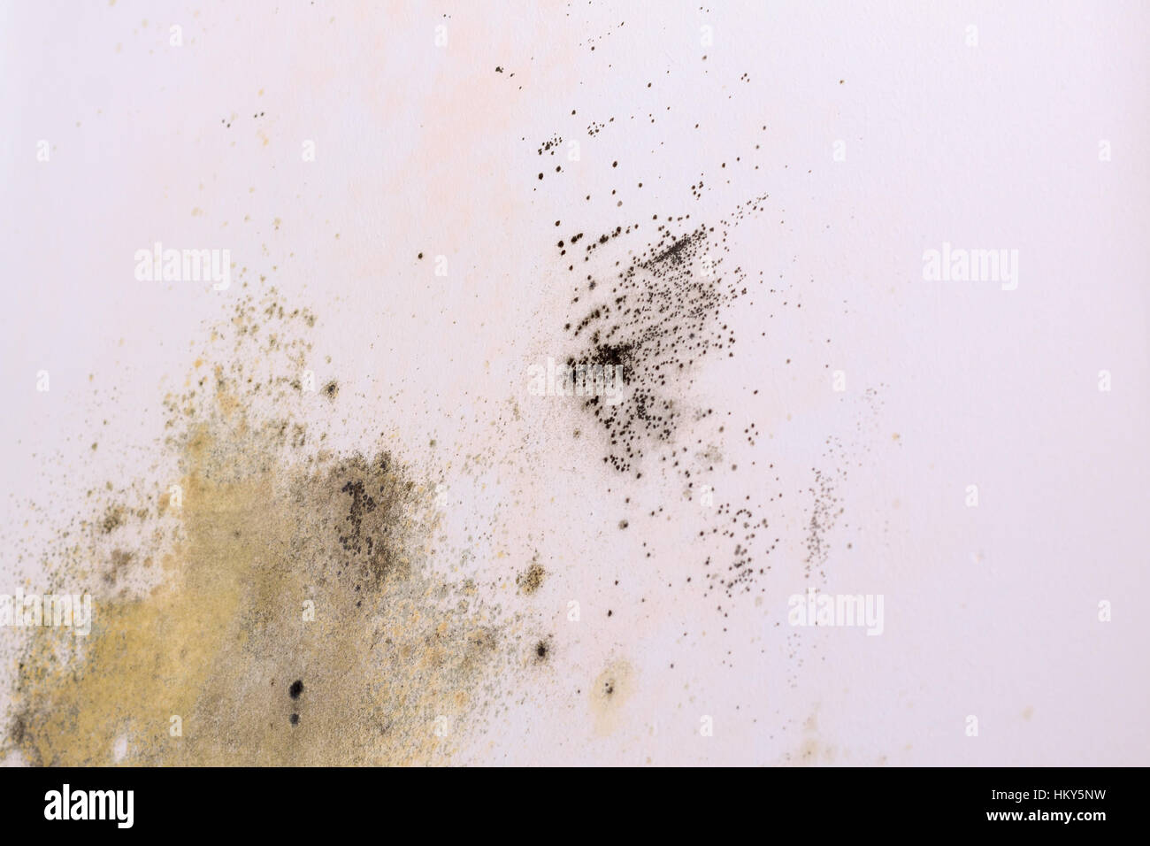 Mold wall hi-res stock photography and images - Alamy