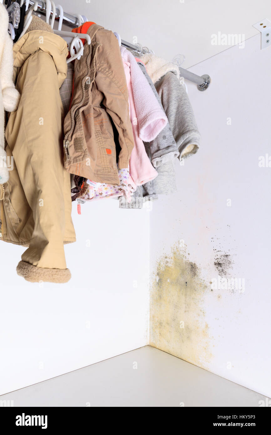Mold On Clothes In Wardrobe