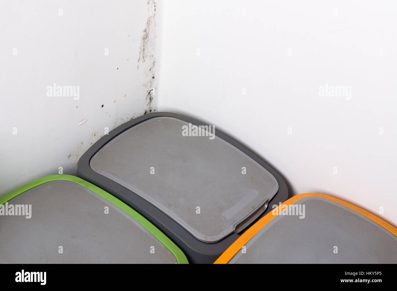 Trash bins for selective collection and mold problem on wall Stock ...