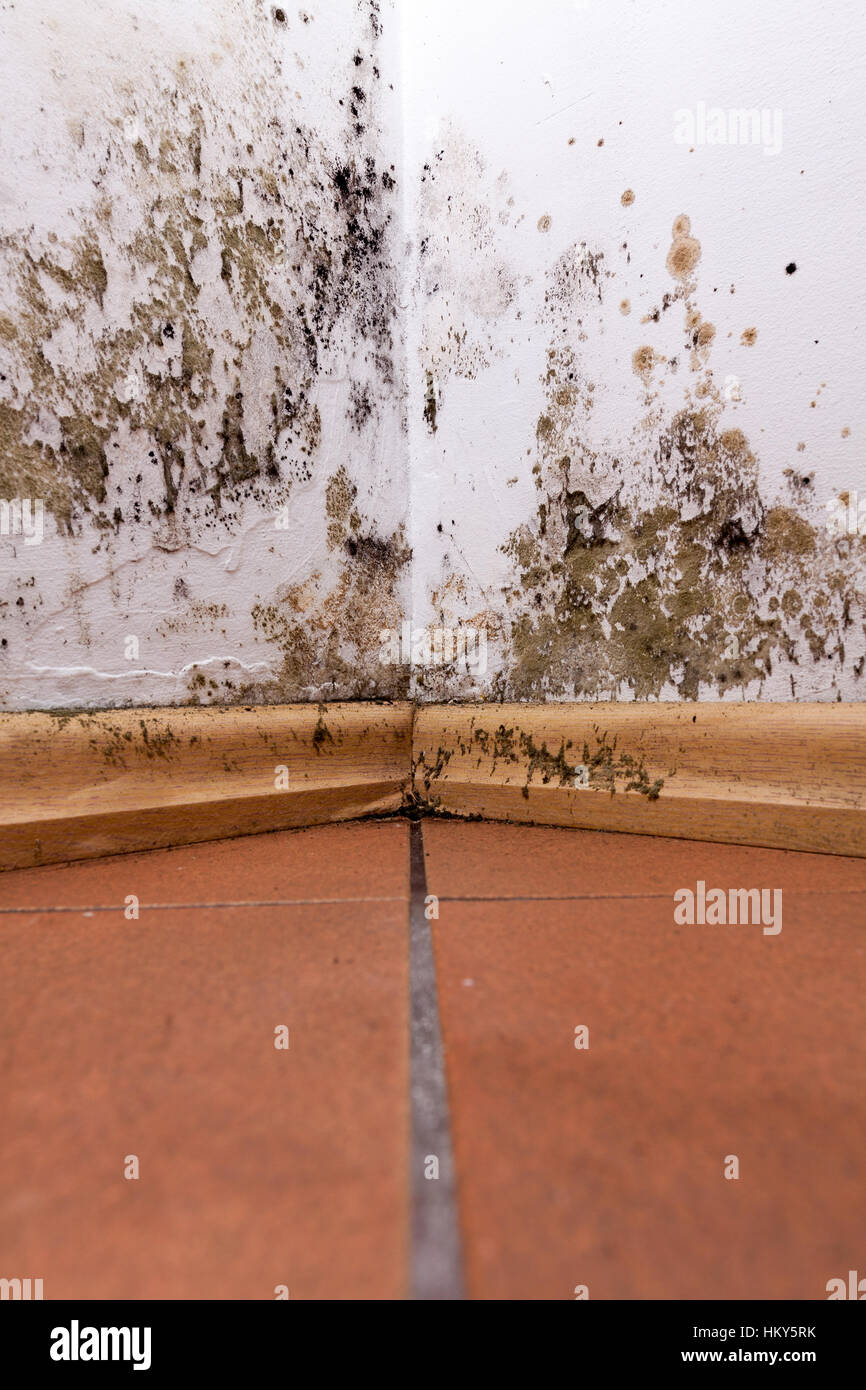 Messy house hi-res stock photography and images - Alamy