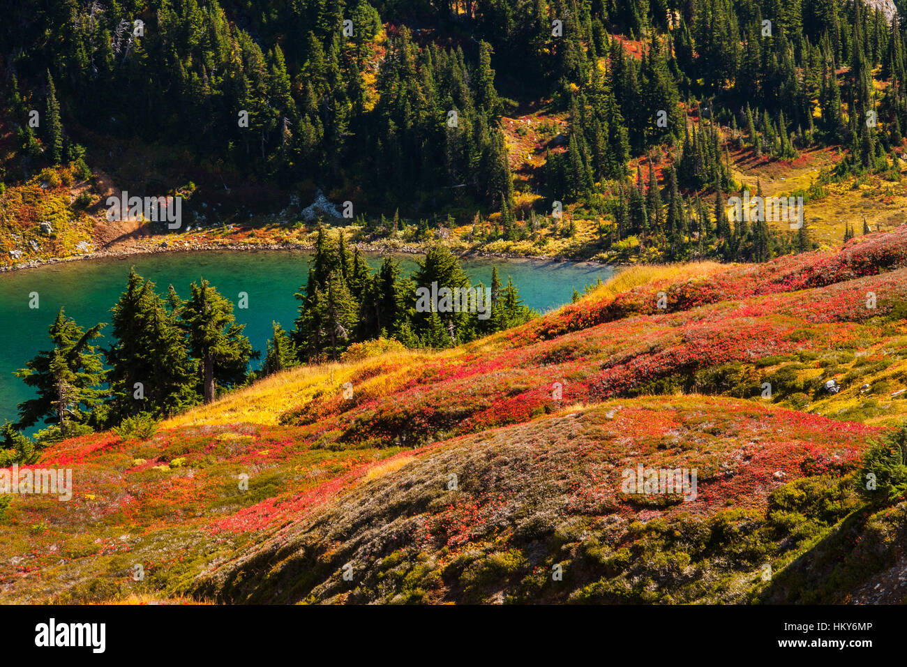 Sahale Arm, Cascade Pass and the mountains of North Cascades National ...