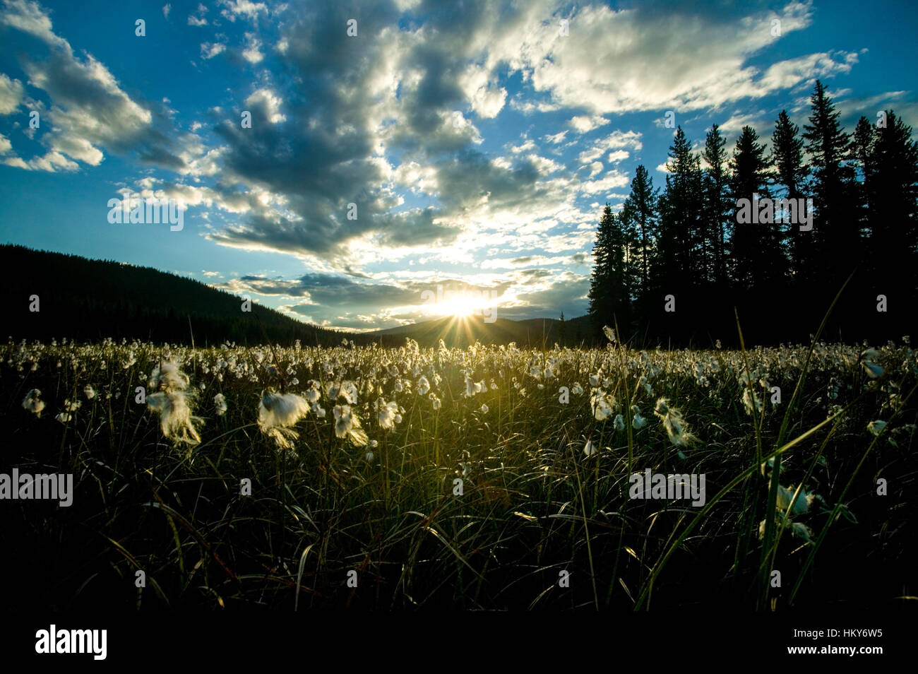 Sunset at Bunchgrass Meadow, Selkirk Mountains, Colville National ...