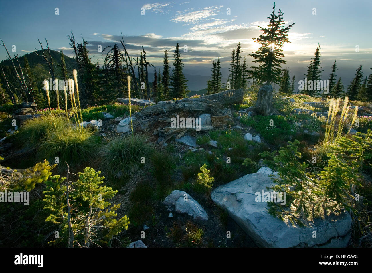 Colville national forest hi-res stock photography and images - Alamy