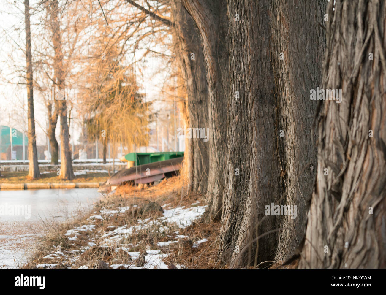 Tree line in central park hi-res stock photography and images - Alamy