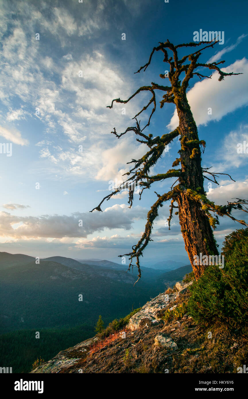 View from Jacknife Mountain of the Kettle River Mountains and Colville ...
