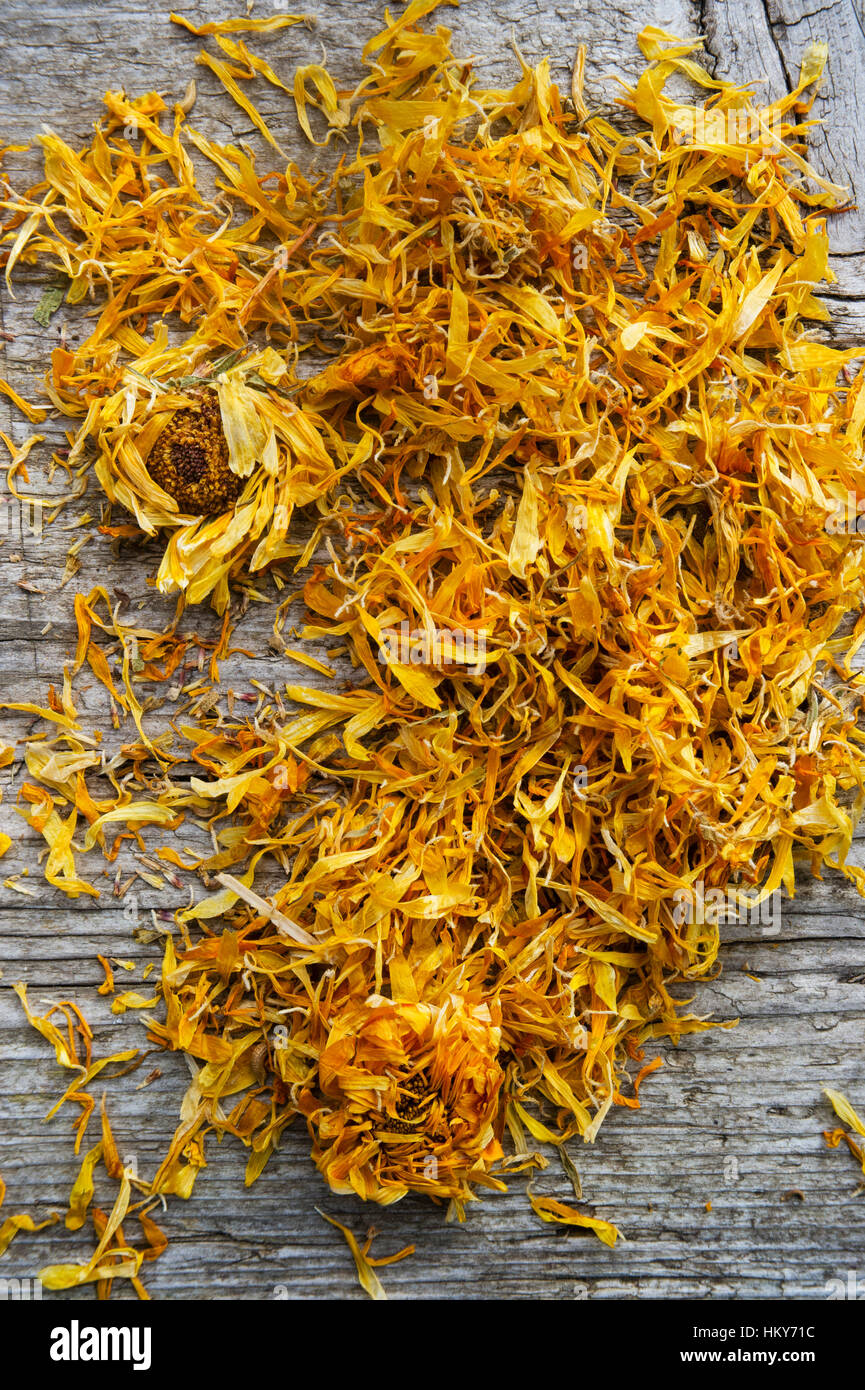 Dried Calendula Flowers
