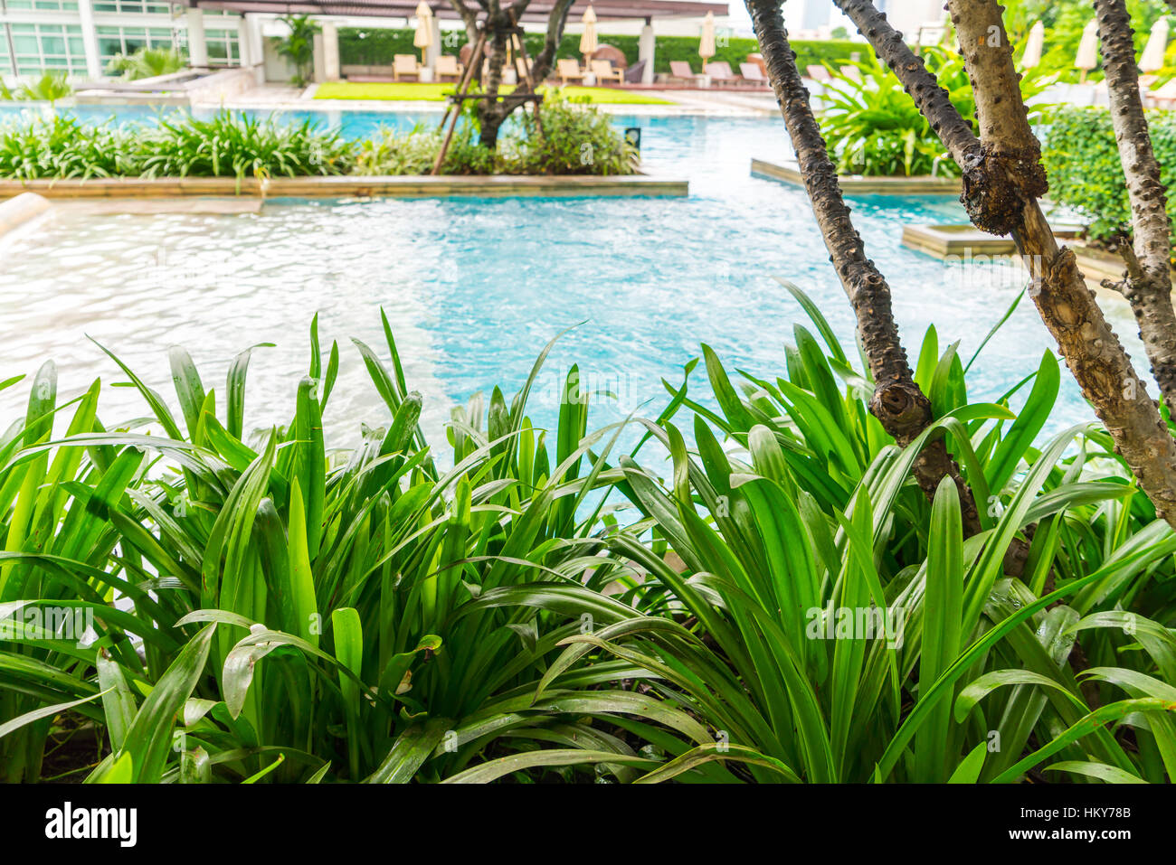 Beautiful Swimming pool in hotel pool resort Stock Photo - Alamy