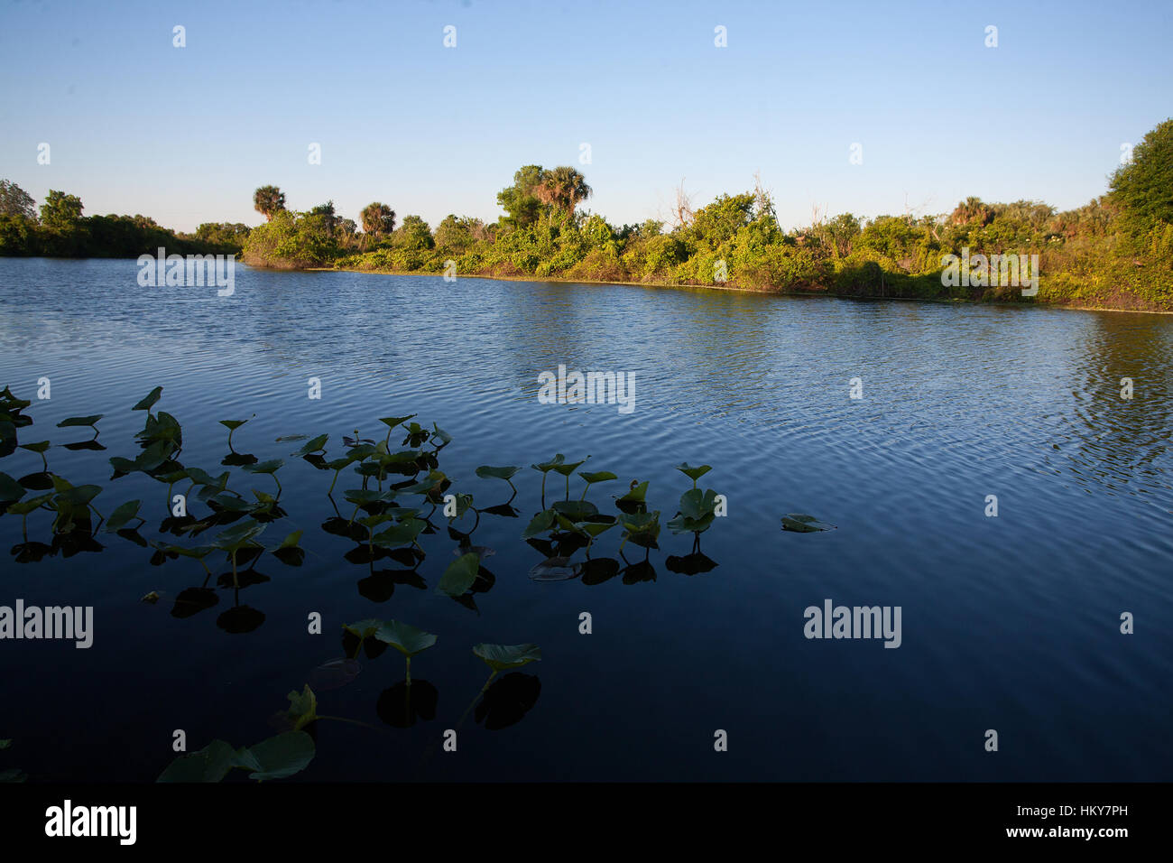 Lake in Florida that is getting covered in shadows Stock Photo - Alamy