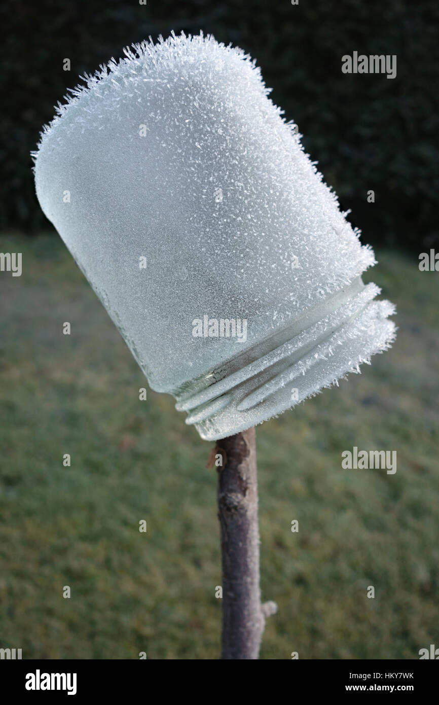Advection frost (hoar frost, wind frost or frost spikes) formed on a ...
