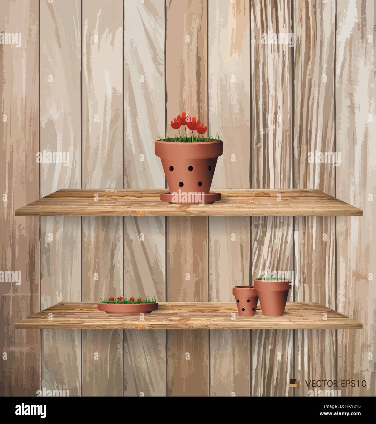 Wood Shelf With Red Flower Plant In Clay Pot Vector Illustration Stock