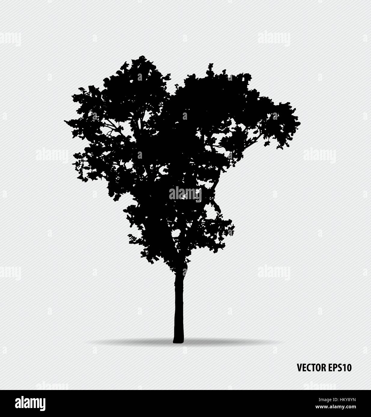Tree silhouette. Vector illustration Stock Vector Image & Art - Alamy