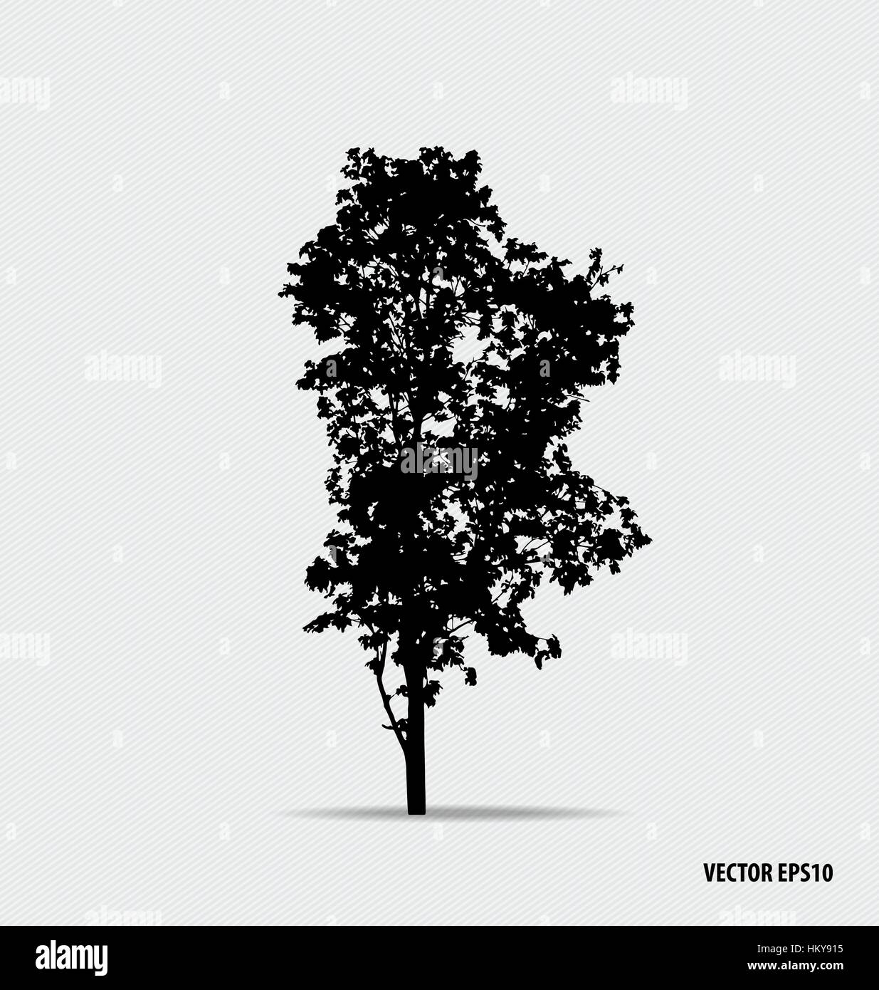 Tree silhouettes. Vector illustration Stock Vector Image & Art - Alamy