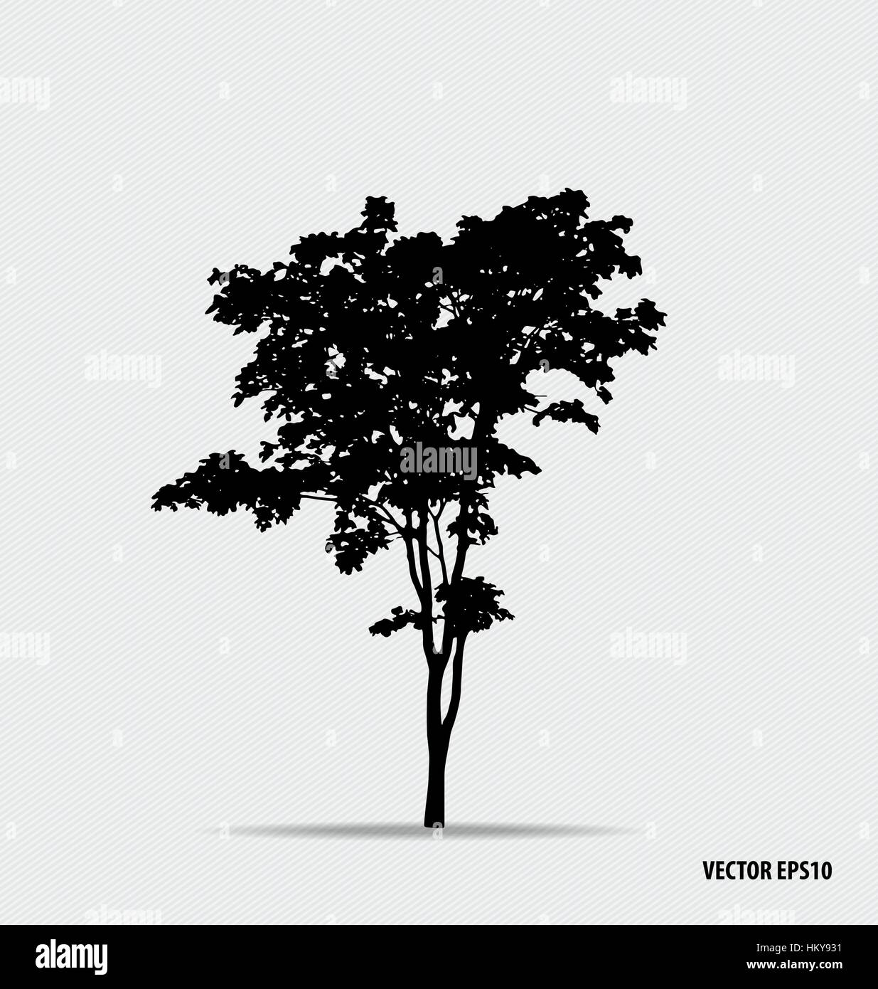 Tree silhouettes. Vector illustration Stock Vector Image & Art - Alamy