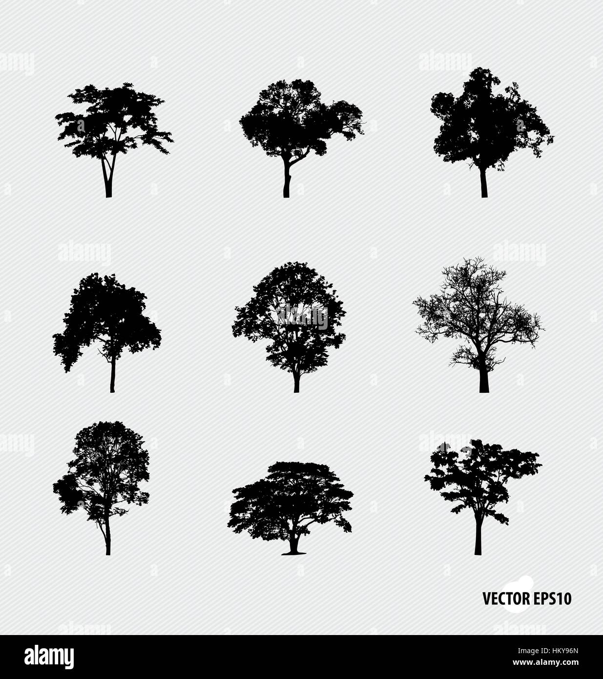 Set of tree silhouettes. Vector illustration Stock Vector Image & Art ...