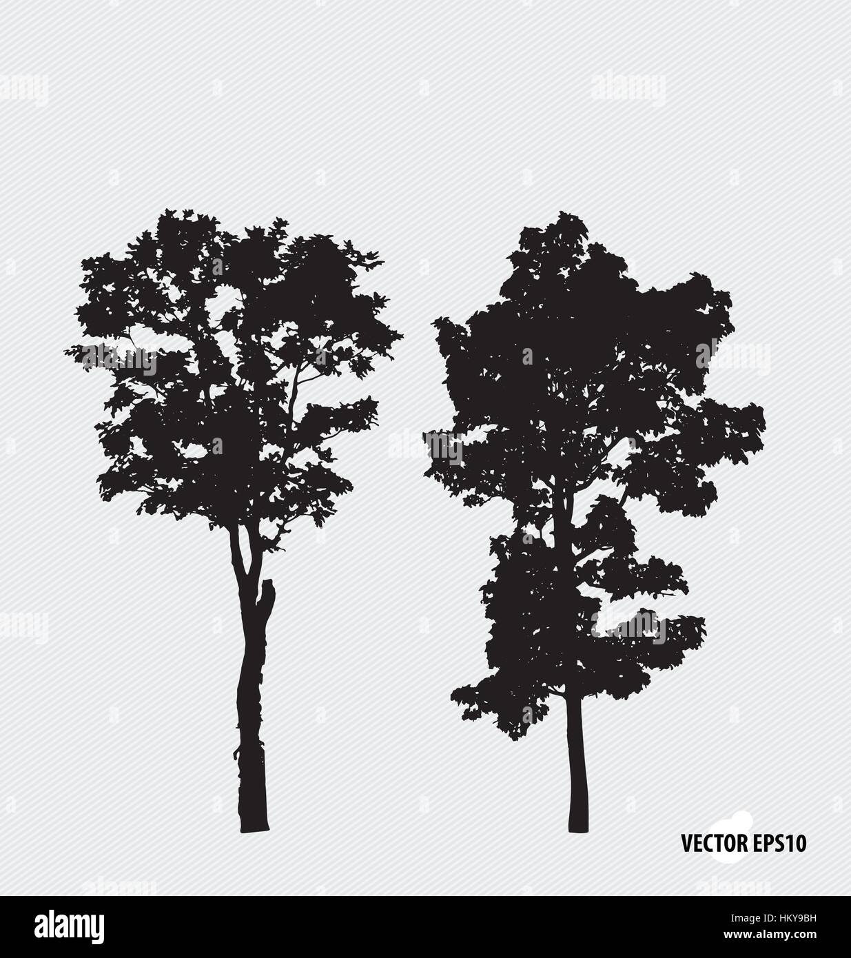 Set of tree silhouettes. Vector illustration Stock Vector Image & Art ...