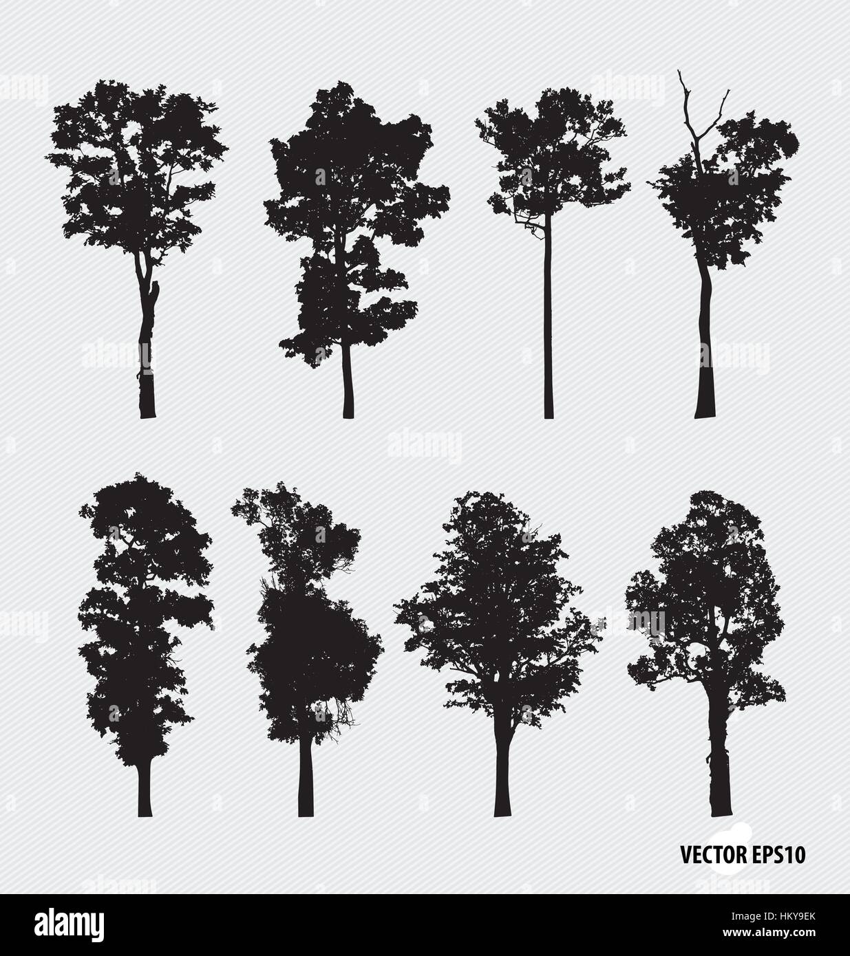Set of tree silhouettes. Vector illustration Stock Vector Image & Art ...