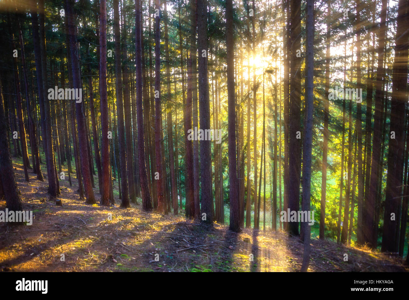 Chechia hi-res stock photography and images - Alamy