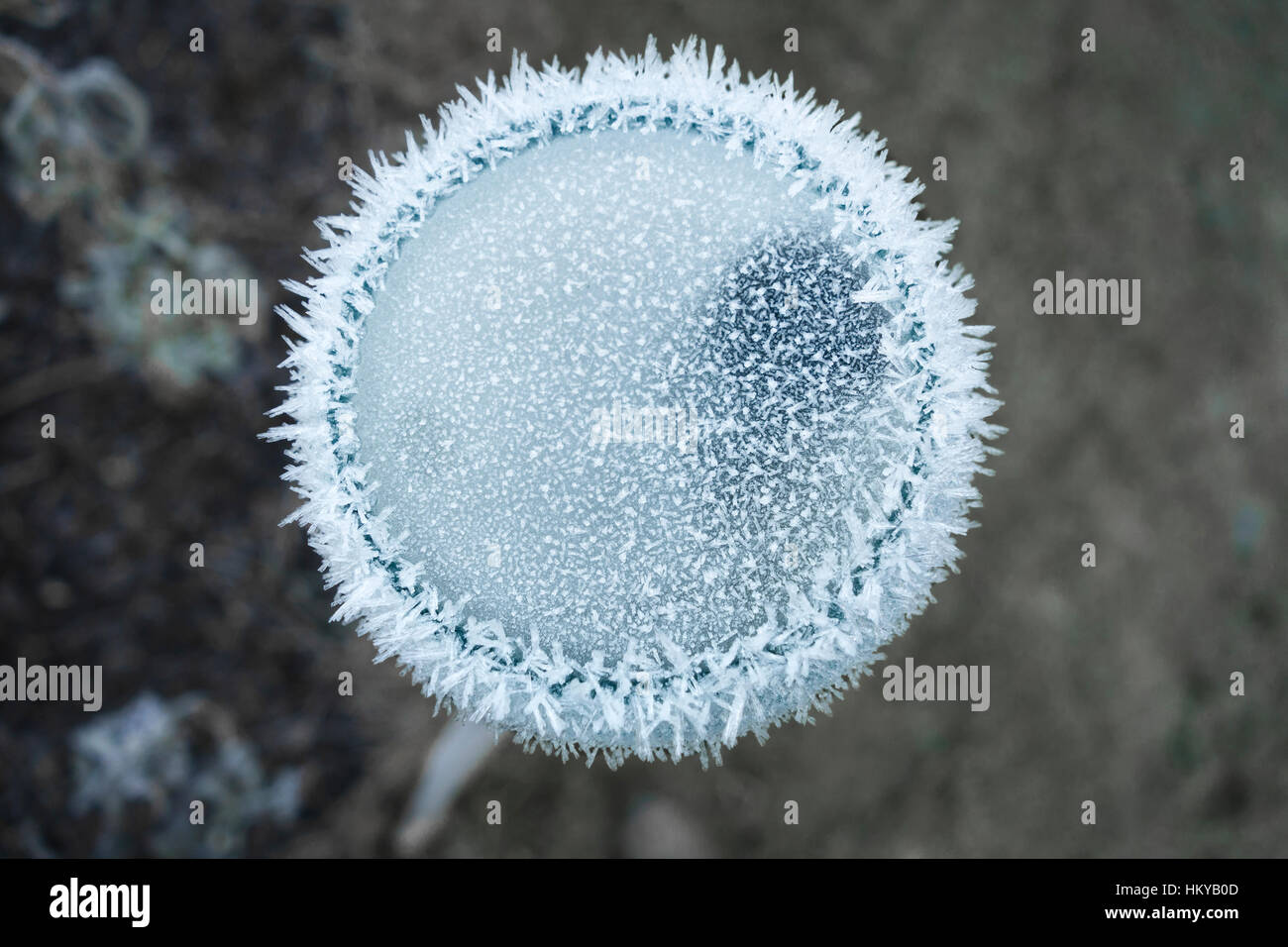 Frozen spikes hi-res stock photography and images - Alamy