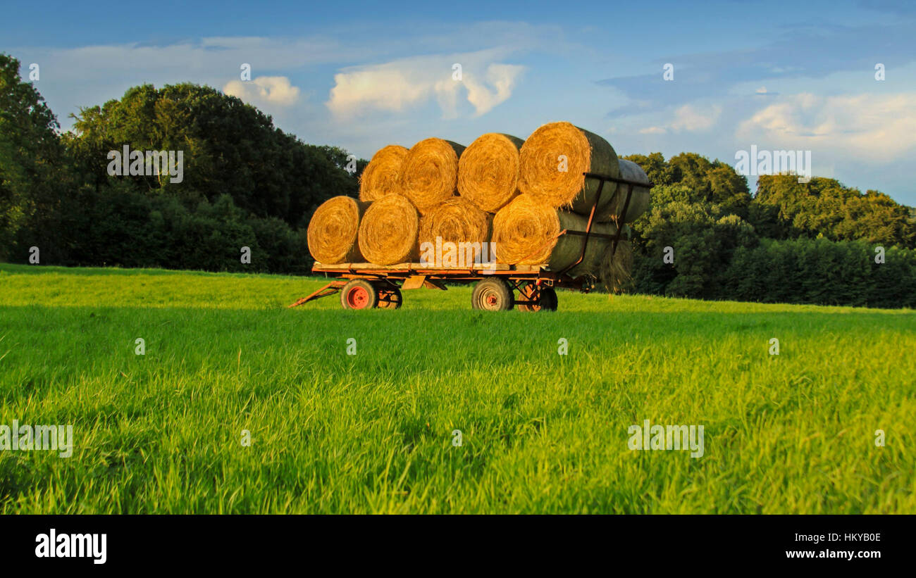 A hay trailer Stock Photo - Alamy
