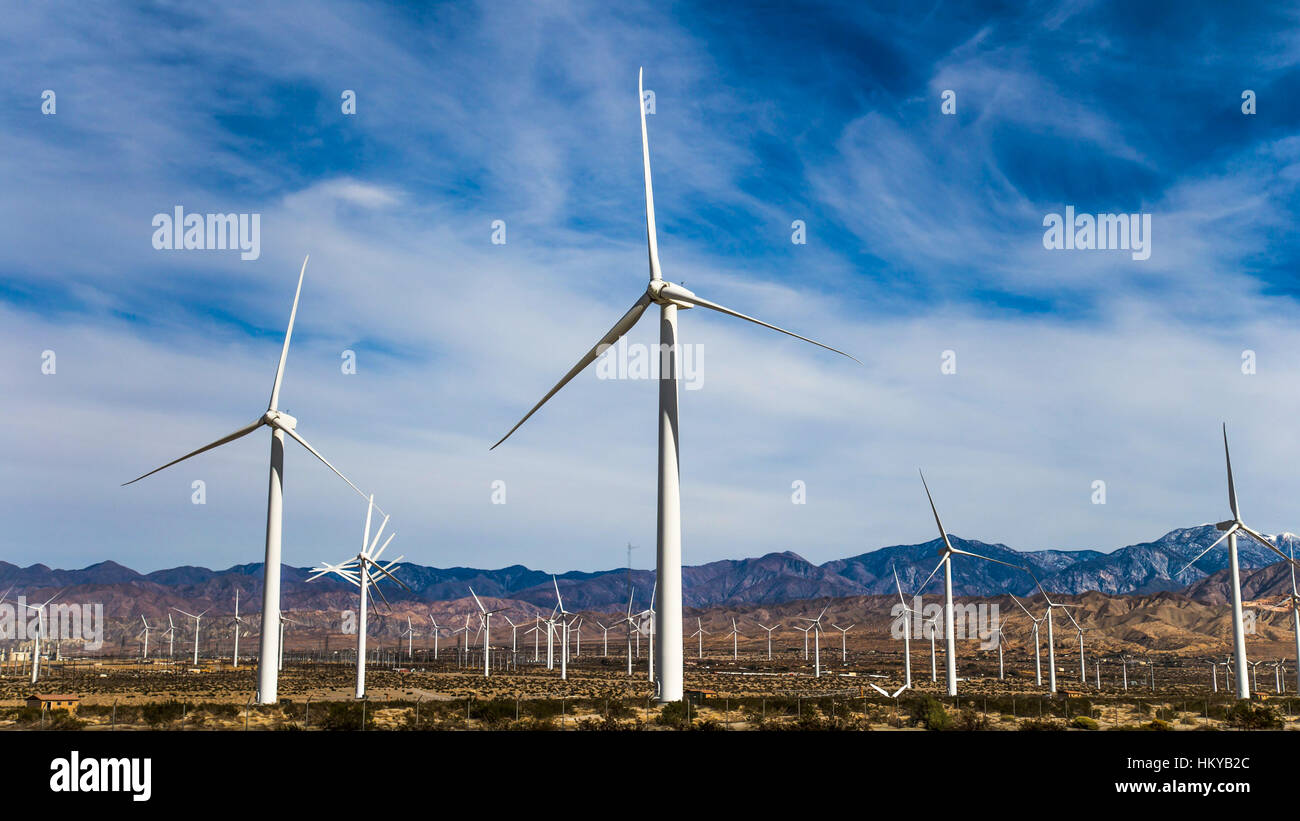 A field full of windmills Stock Photo - Alamy