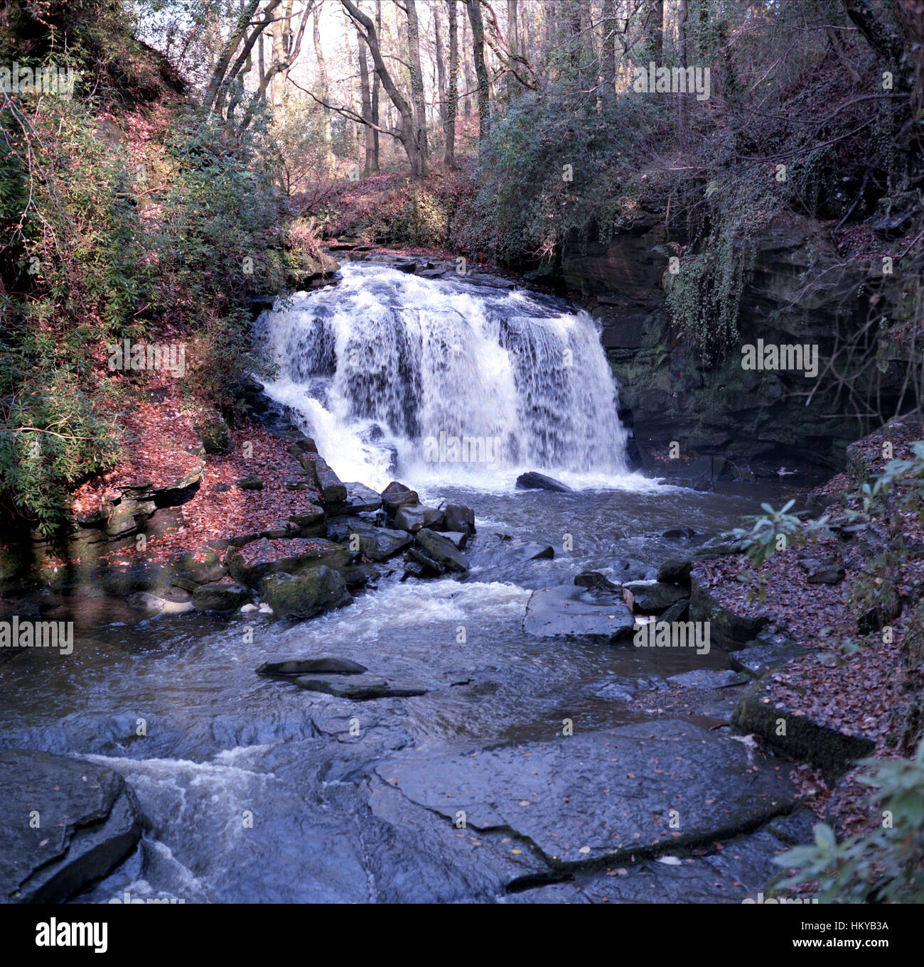 Clydach gorge hi-res stock photography and images - Alamy