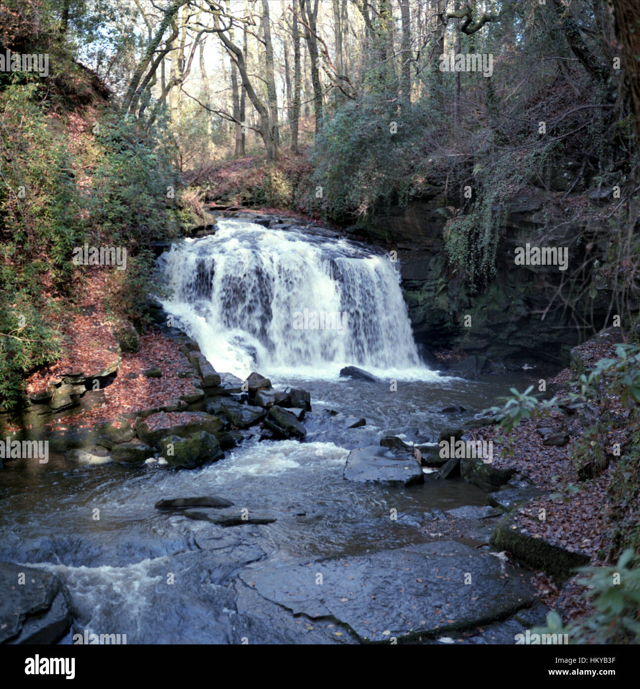 Clydach Falls, Neath Stock Photo - Alamy